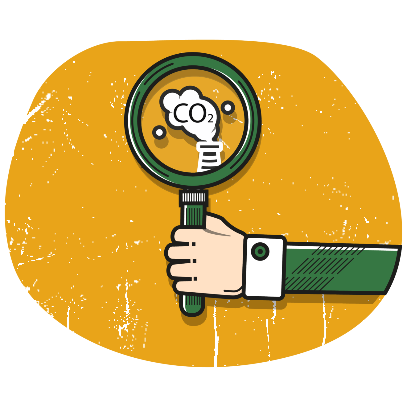 About Us – Creative Carbon